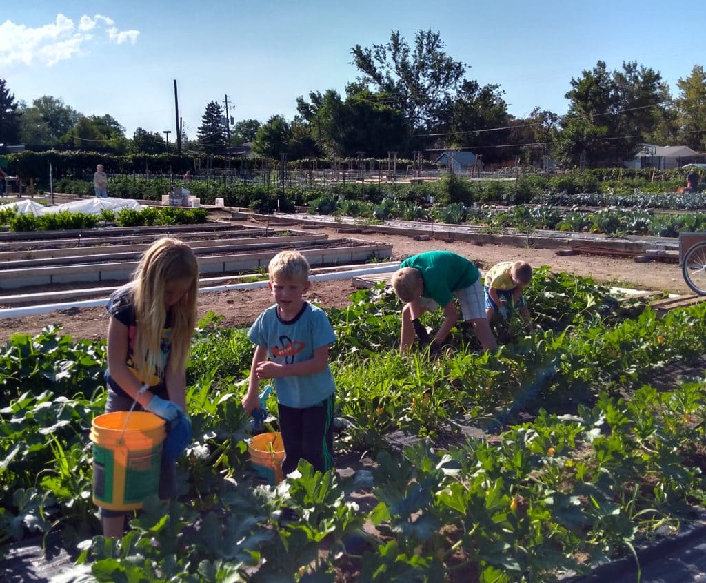 The Power of Teaching Children to Work - United Families International